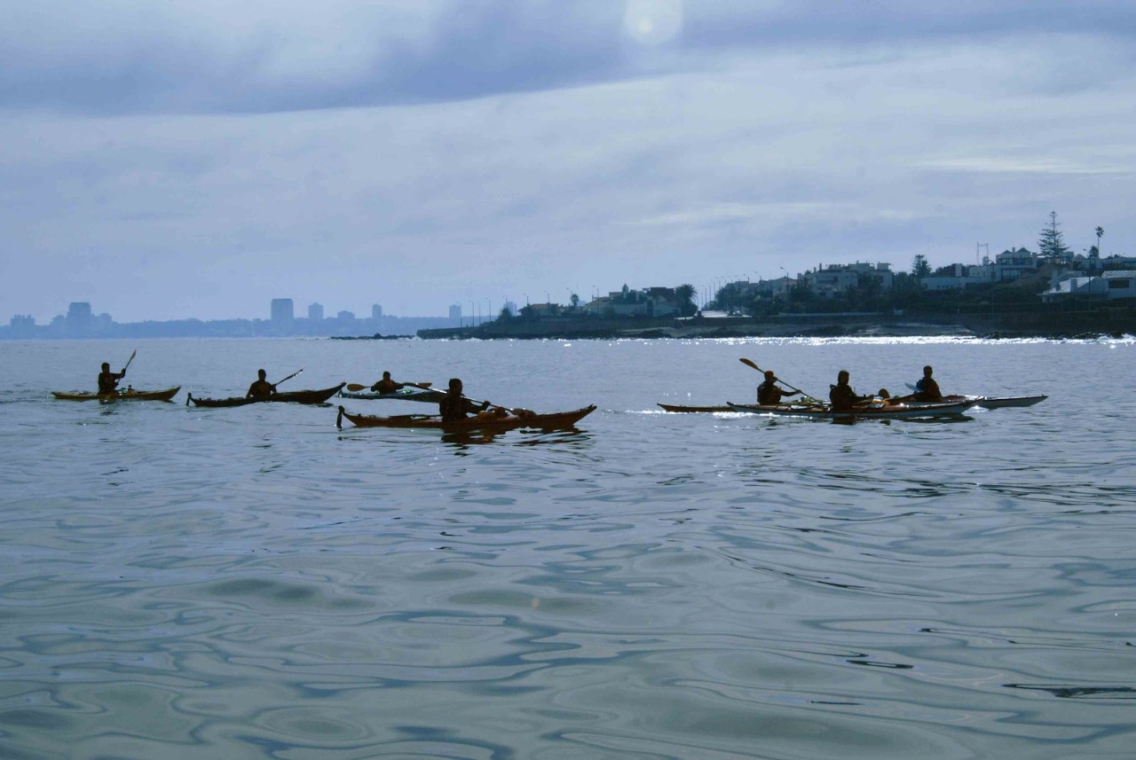 LOBOS 2012 :: Isla de Lobos