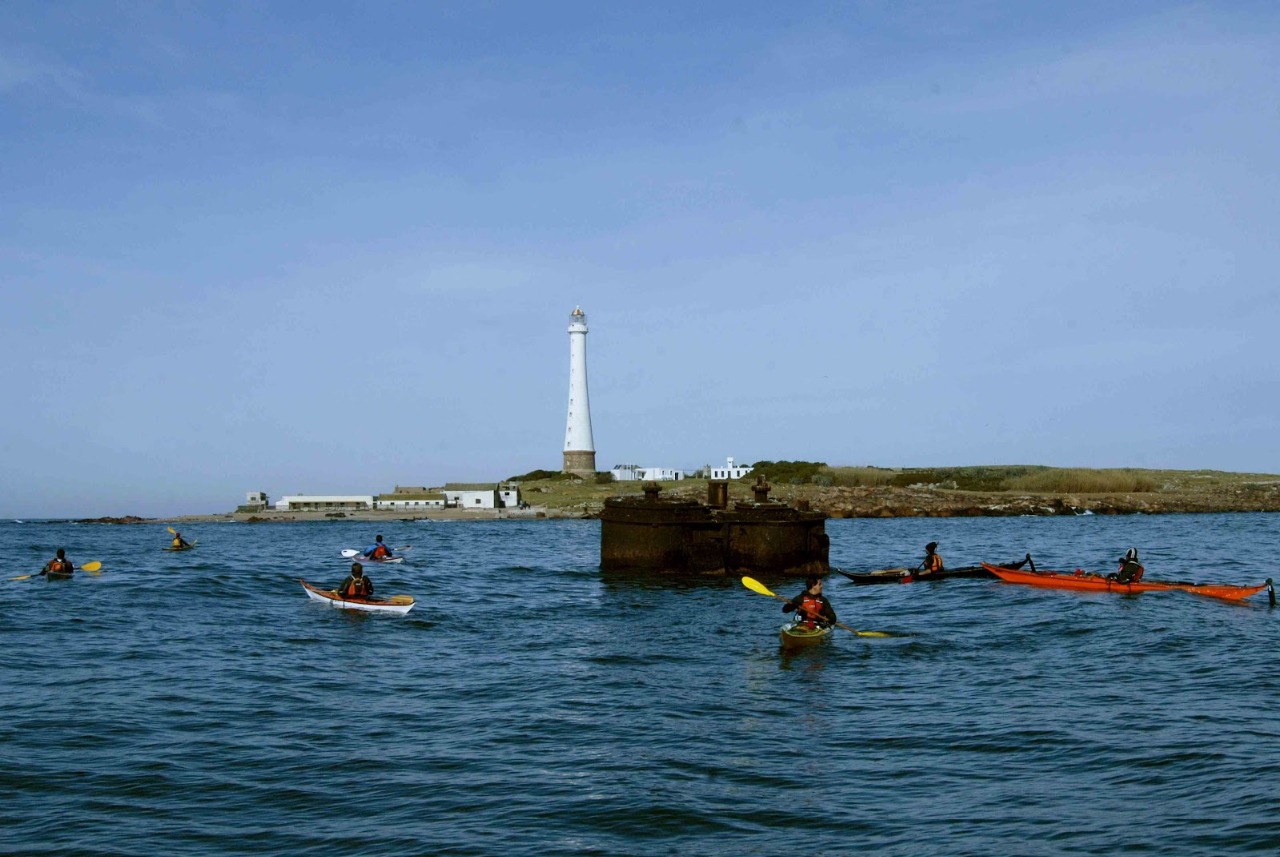LOBOS 2012 :: Isla de Lobos
